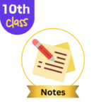 Best Quality Notes, Books & Study Resources