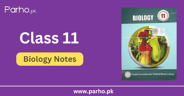 Class 11 Biology New Notes 2025, Exercise Solutions PDF